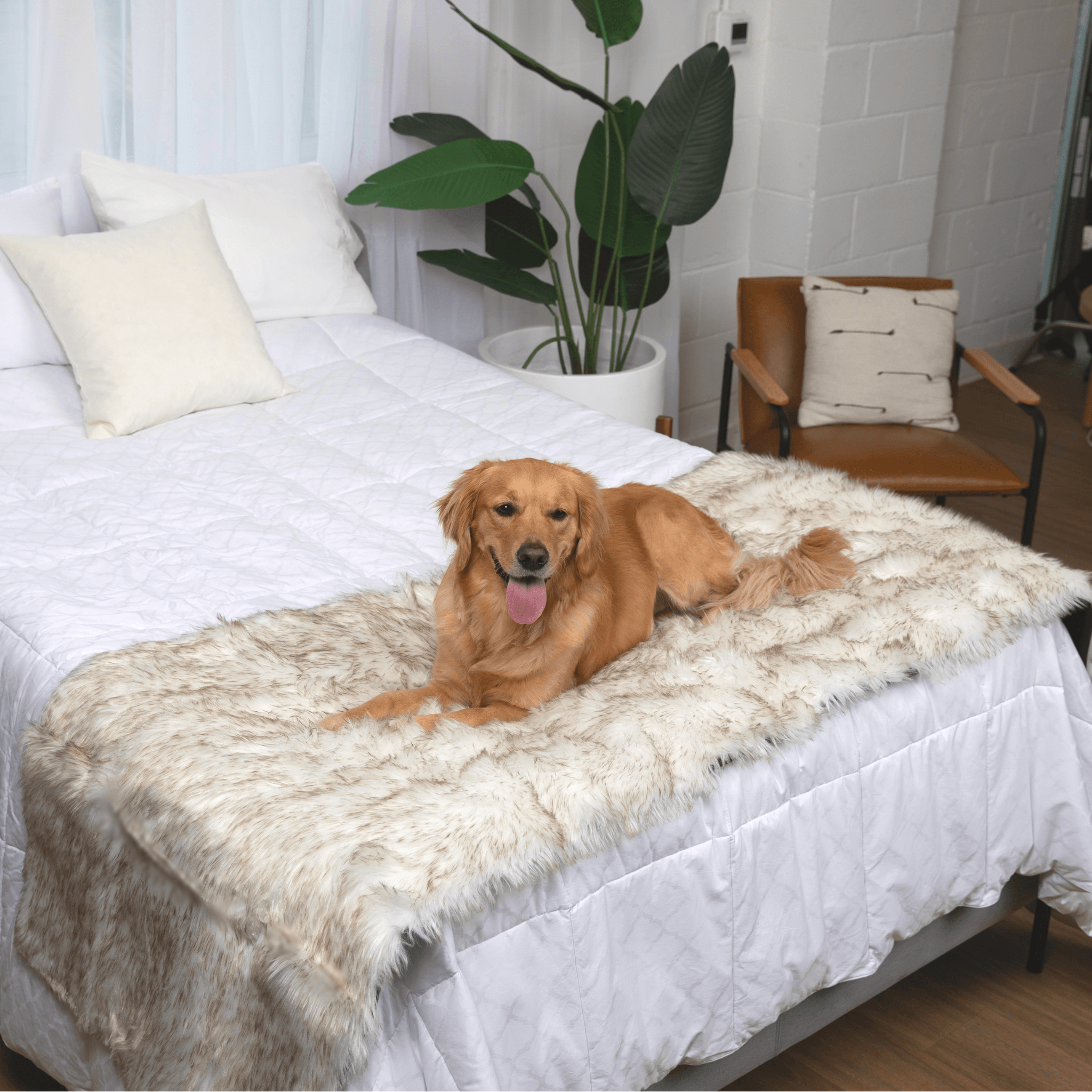 PupProtector™ Waterproof Bed Runner - White with Brown Accents – Best ...